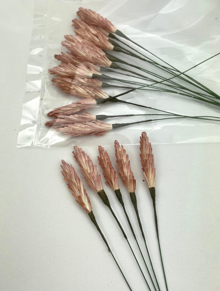 Green Tara Seed Stems Natural 16cm